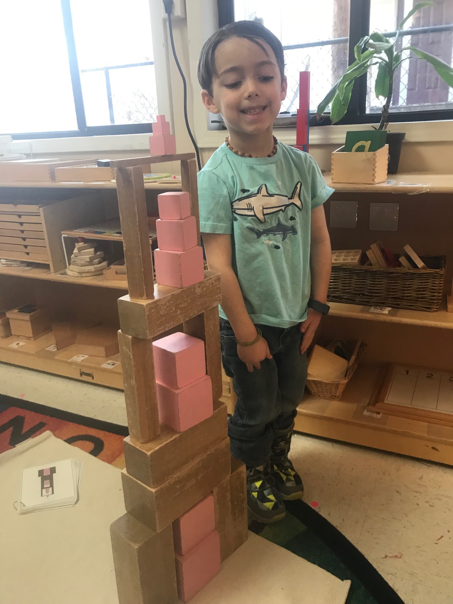 Primary Classrooms – Montessori Country Day