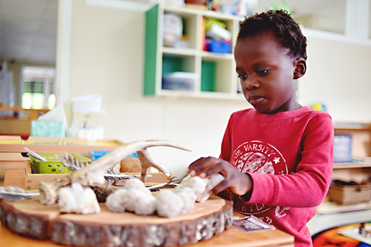 Curriculum – Montessori Country Day