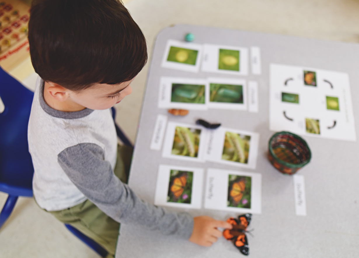 Primary Classrooms – Montessori Country Day